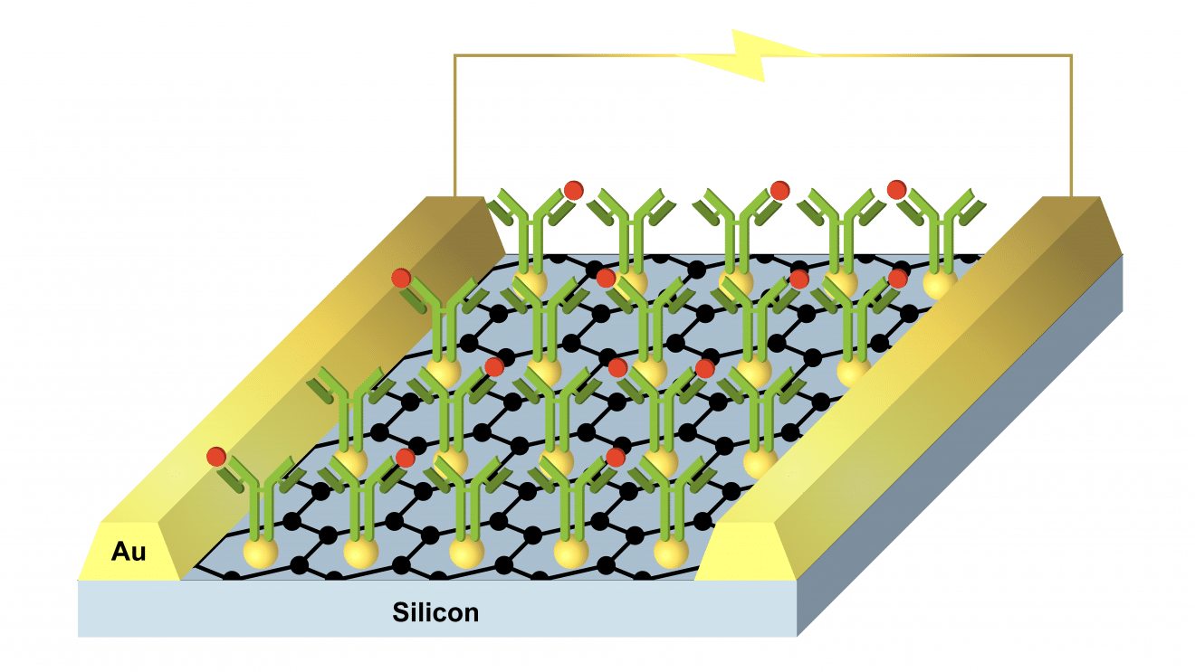 Chemical & Biosensor Chips: CNTs, Graphene & More